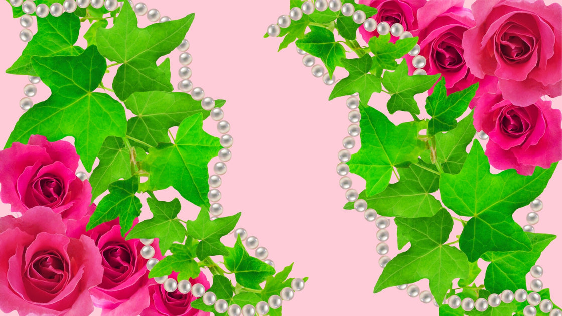 Ivy and Pearls Collection – PNK Boutique